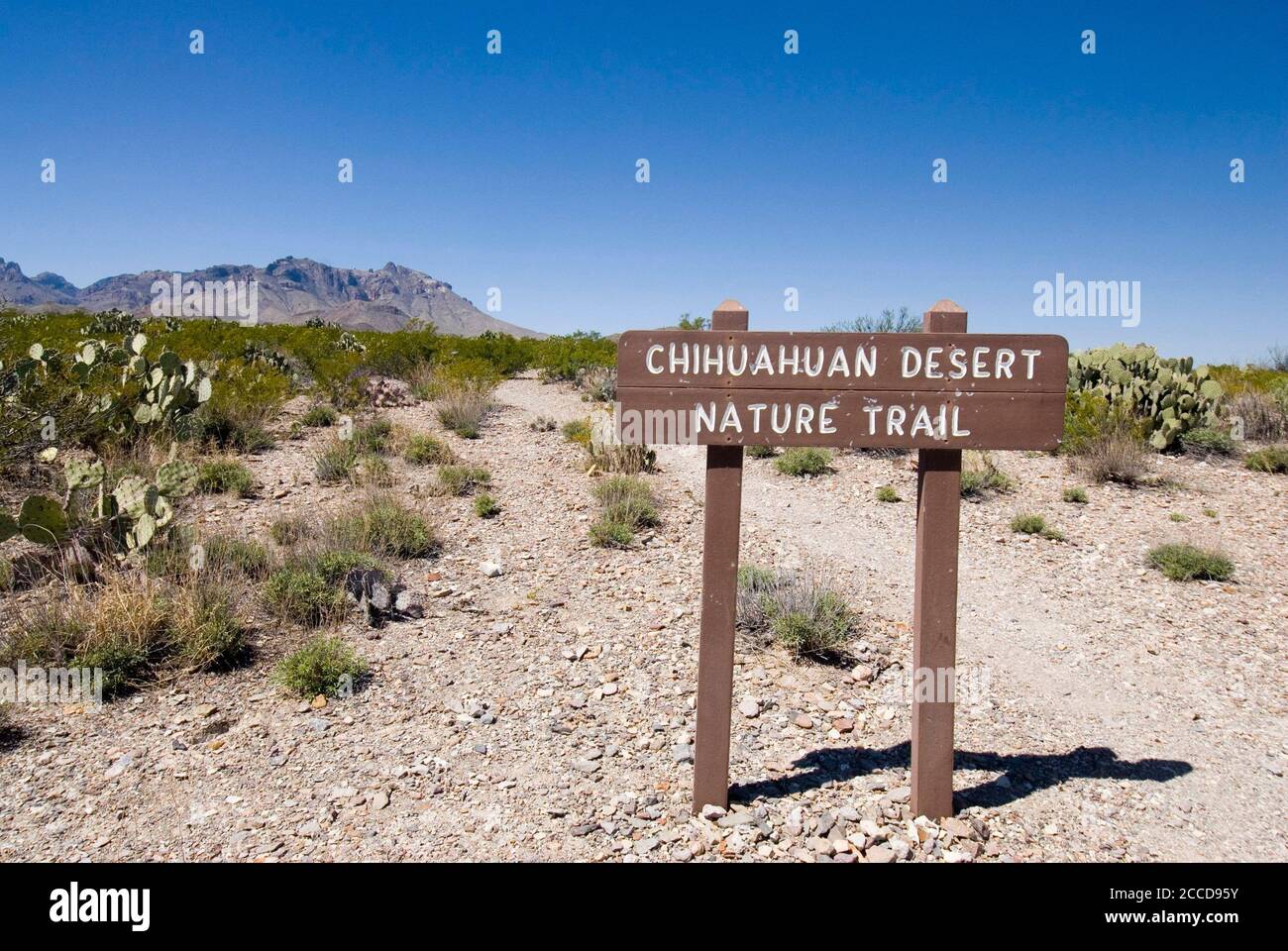 Big Bend National Park, TX March 15, 2007: Chihuahuan Desert nature ...
