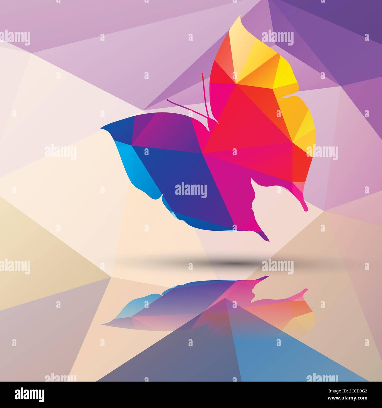 Geometric polygonal butterfly, pattern design, vector illustration ...