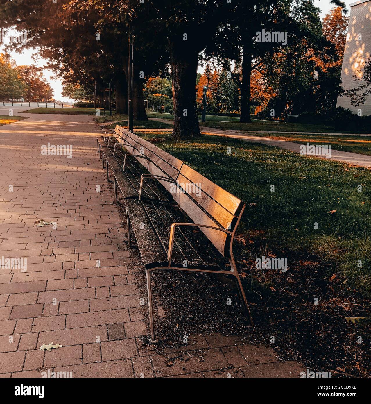 Collection of autumn park benches Stock Photo - Alamy