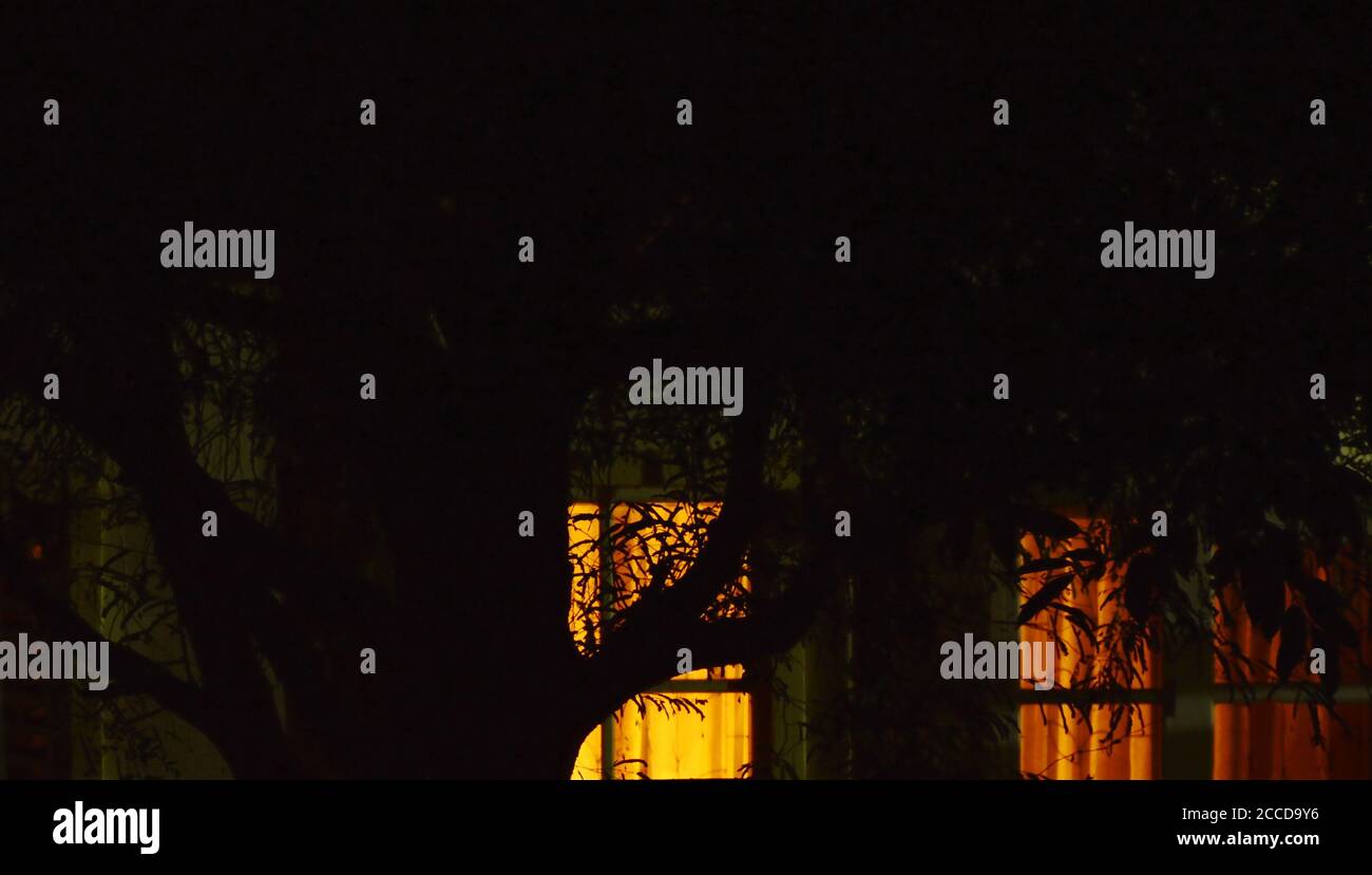 Light from home window and tree on foreground in dark night Stock Photo ...