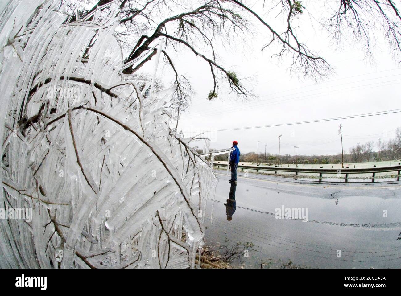 Austin, Texas: A rare ice storm has left the region coated with ice ...