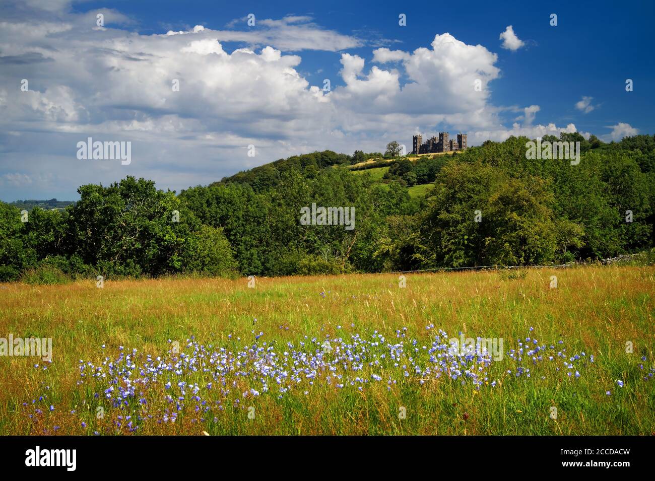 Riber castle hi-res stock photography and images - Alamy
