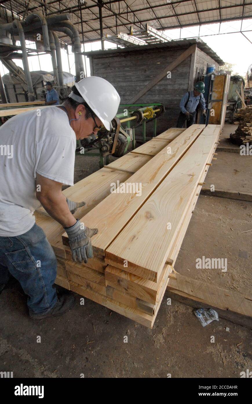 Orange, TX November 10, 2006: Employee at Rogers Lumber Co. wears a ...