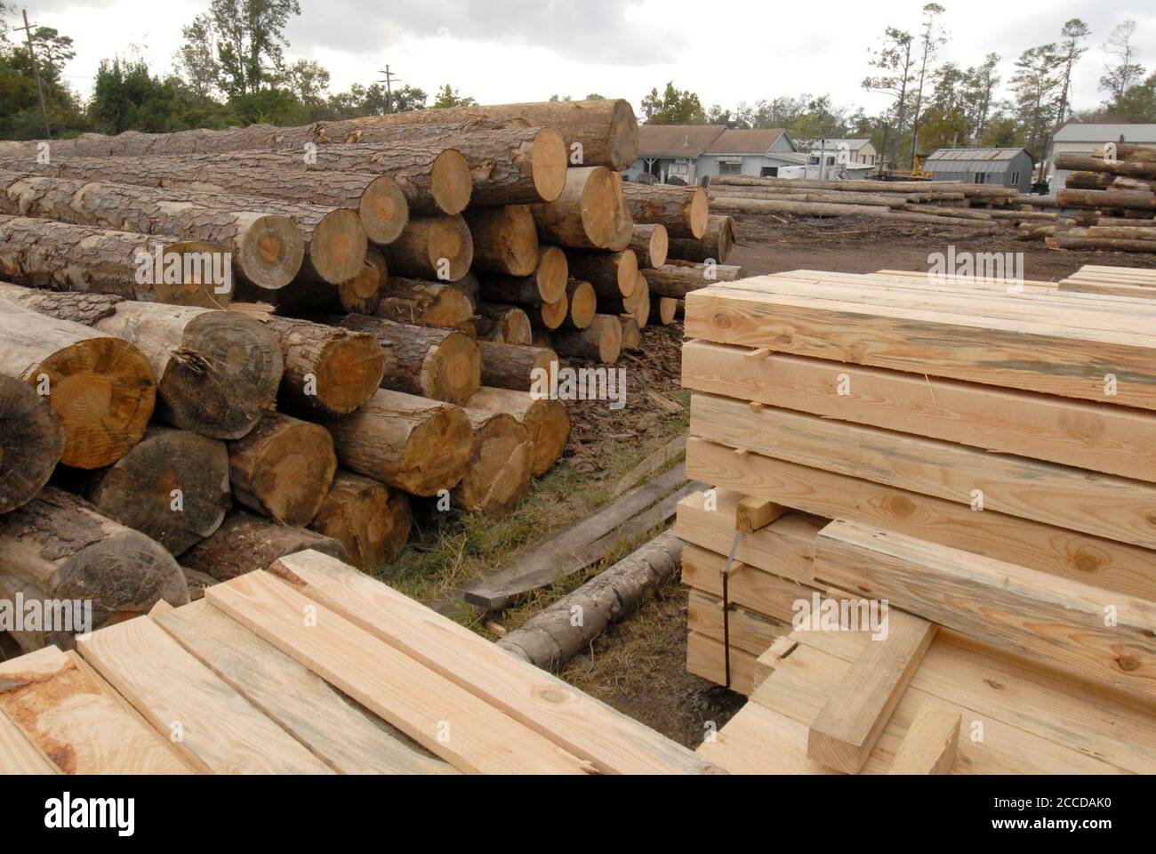 Orange, TX USA, November 10, 2006: Raw and finished lumber at Rogers ...