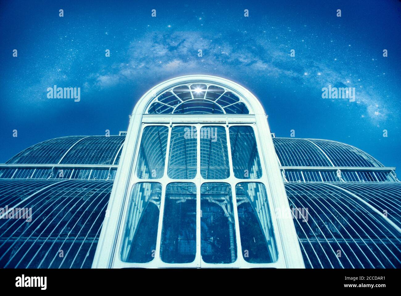 The Palm House greenhouse with milky way stars at twilight Stock Photo ...