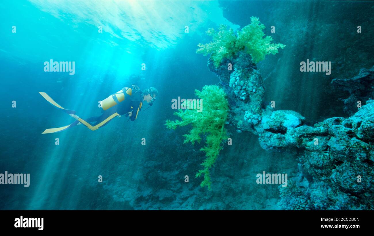 Scuba diving scenery hi-res stock photography and images - Alamy