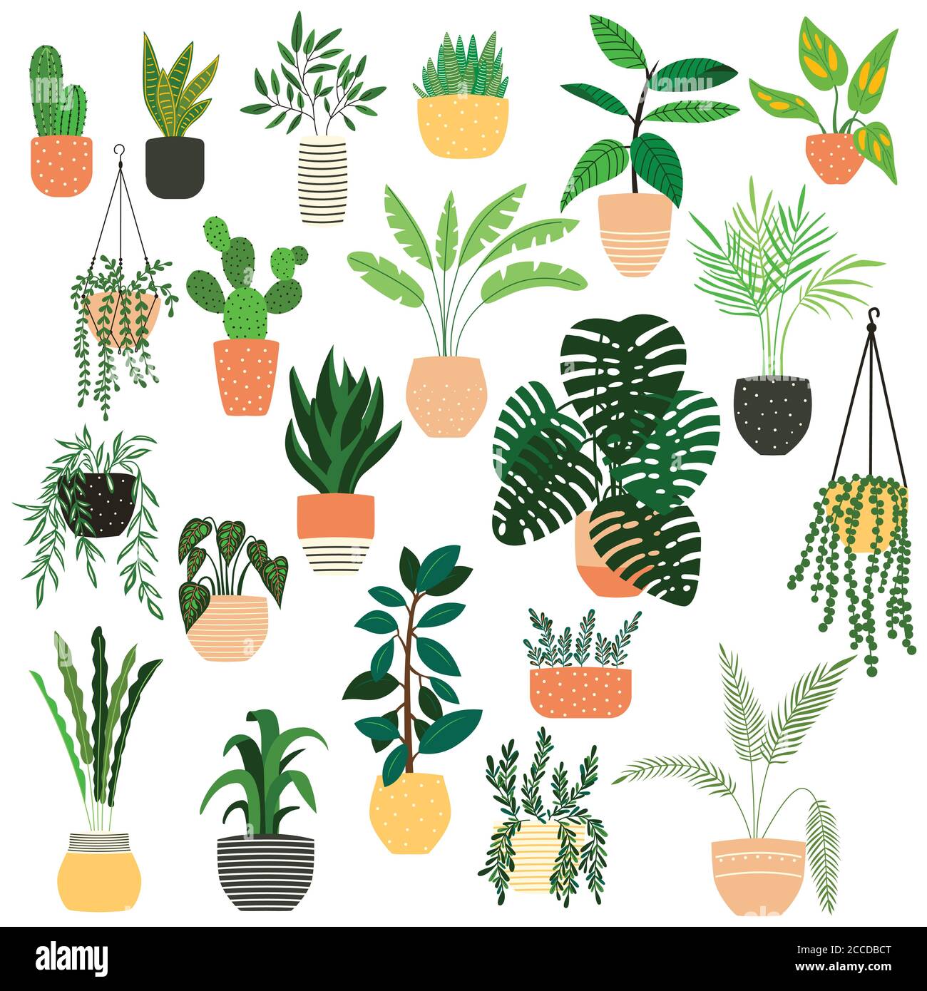 Collection Of Hand Drawn Indoor House Plants On White Background