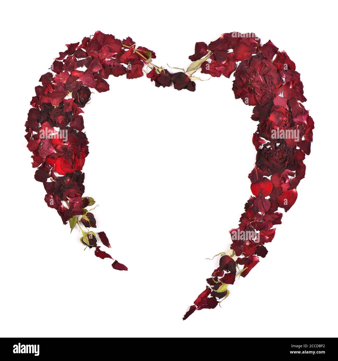Faded red rose flowers set out in the form of heart. Isolated on white ...