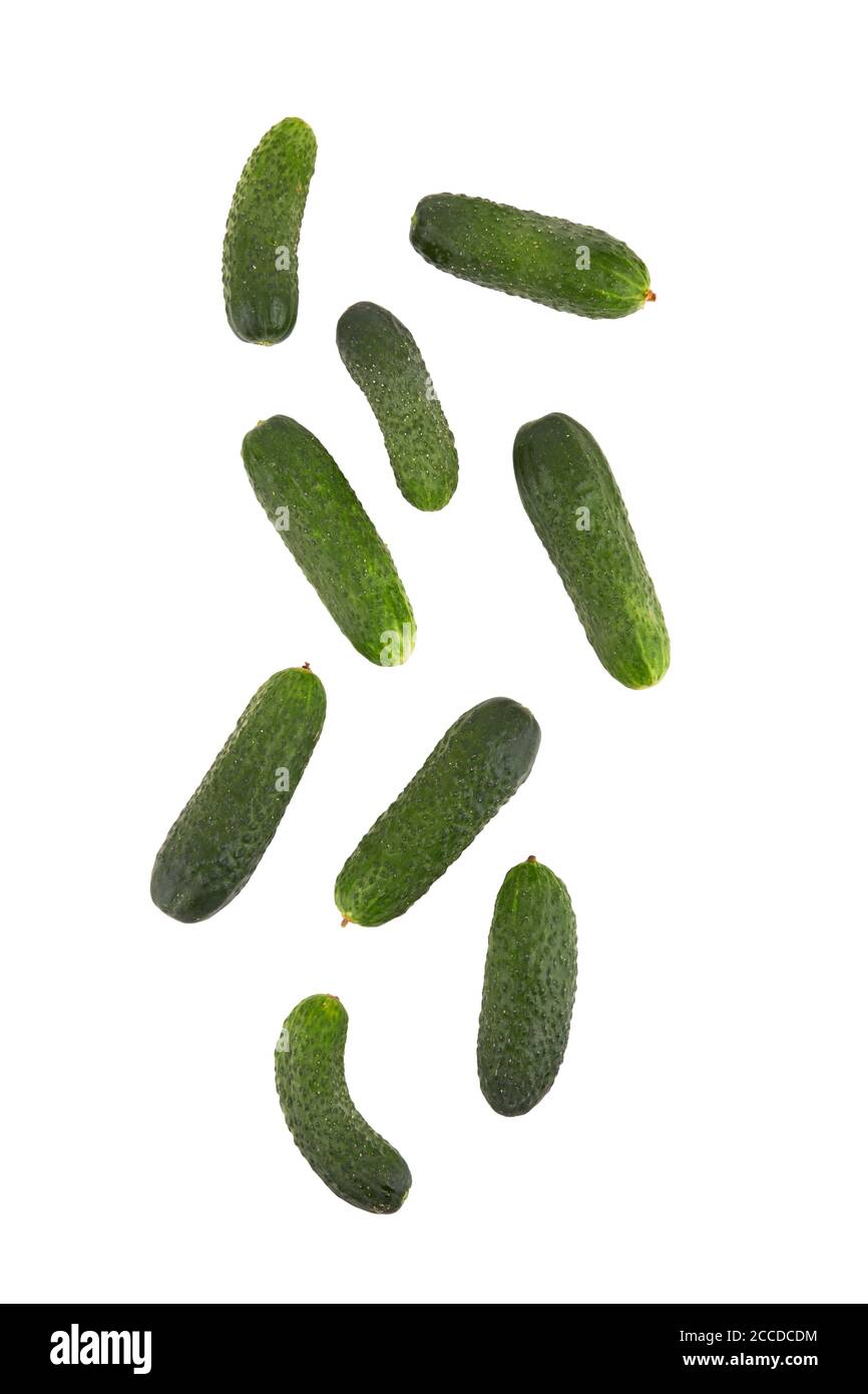 Can cucumbers isolated on hi-res stock photography and images - Alamy