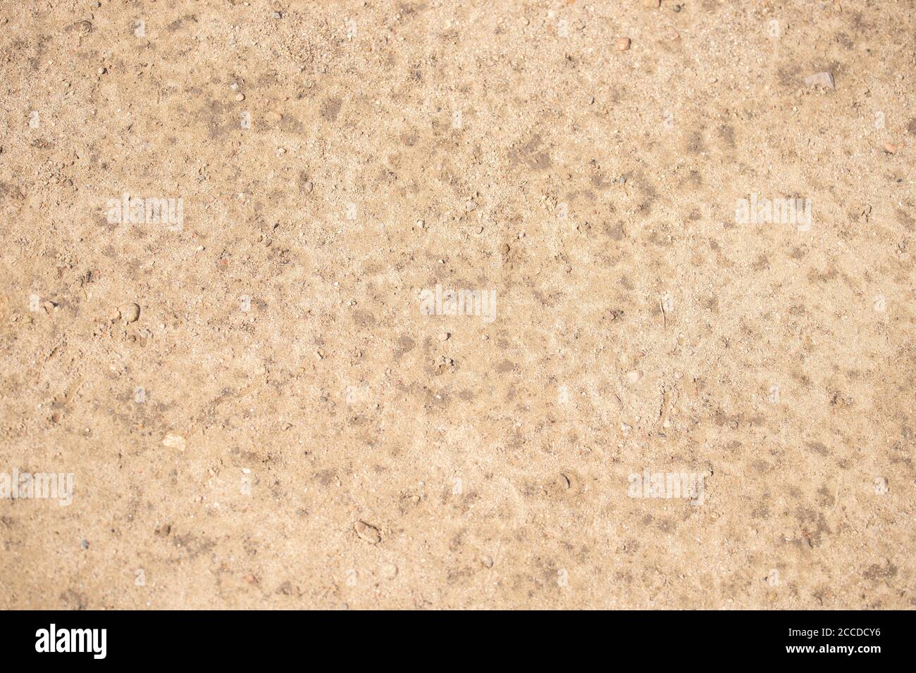 Texture of the ground - close-up of a fragment of a compact and ...