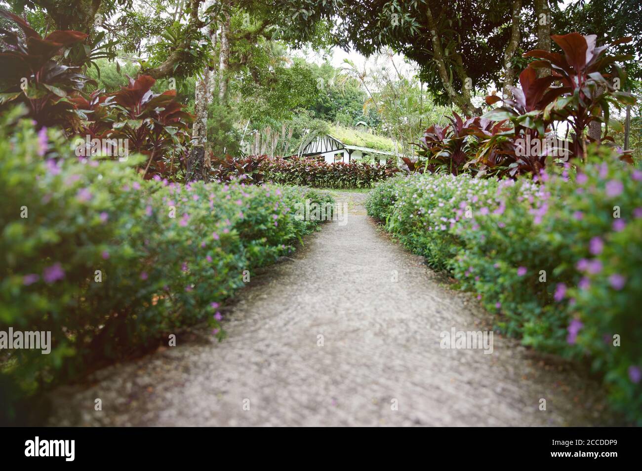 Sunny scenery in park hi-res stock photography and images - Alamy