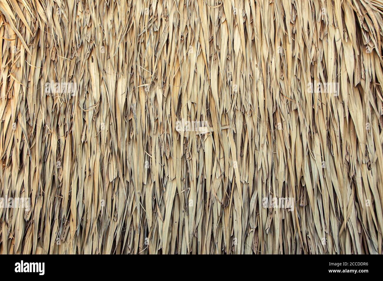 Thatch texture hi-res stock photography and images - Alamy