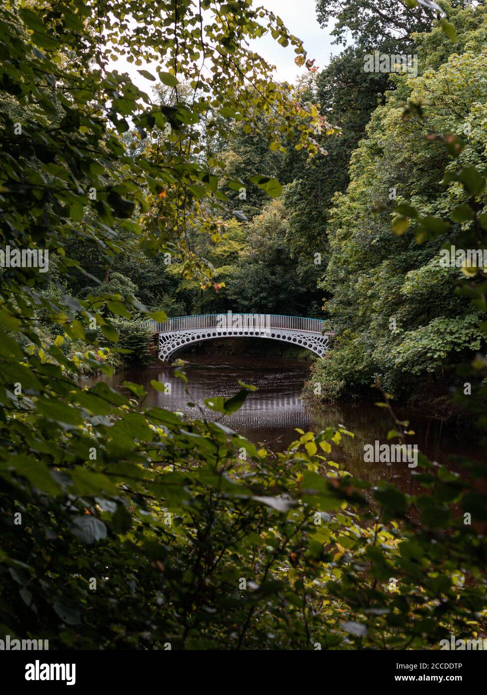 Linn Park, Glasgow Stock Photo - Alamy