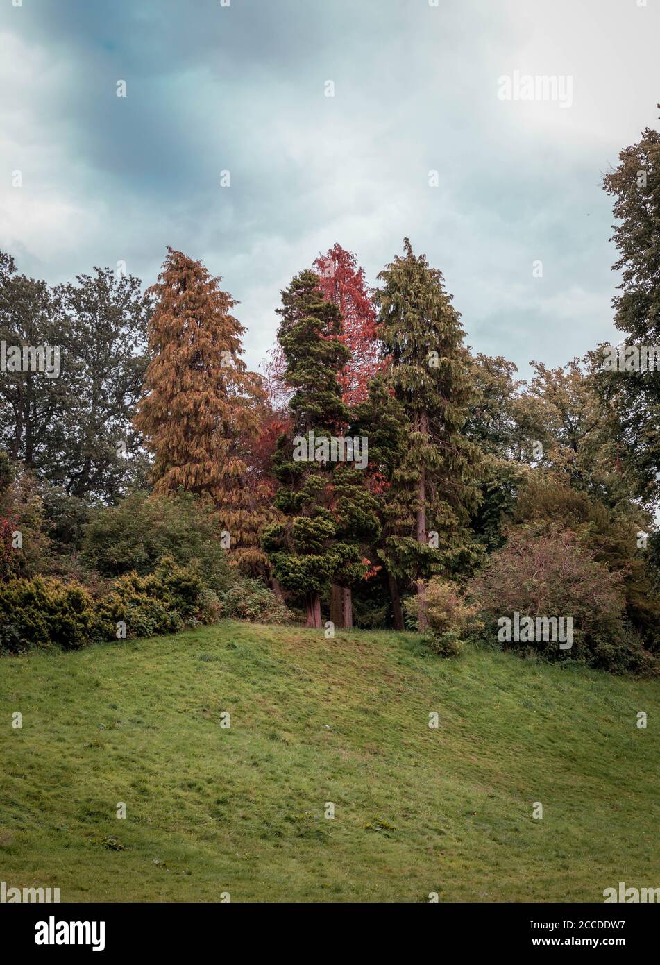 Linn Park, Glasgow Stock Photo - Alamy