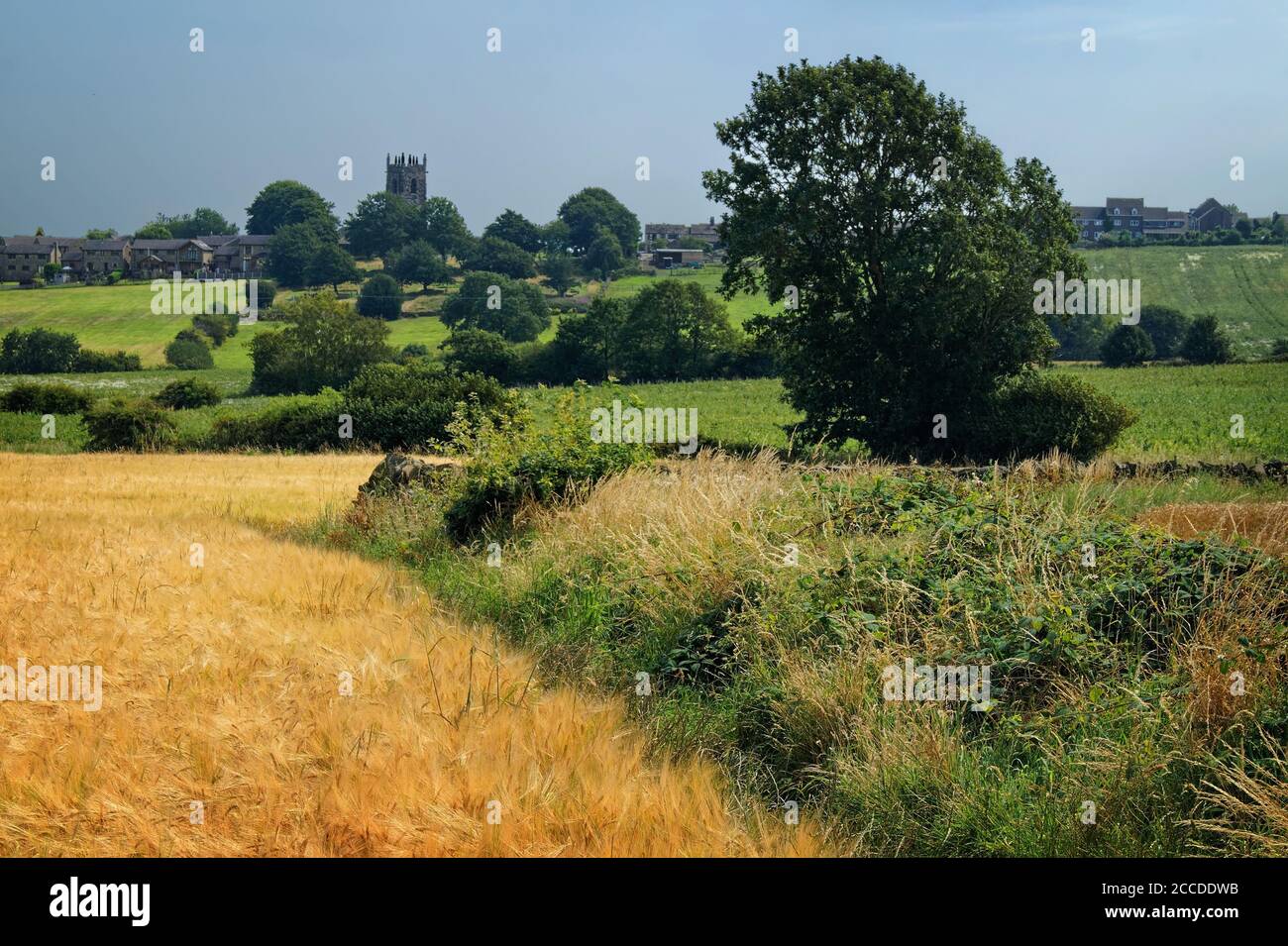 UK,West Yorkshire,Kirklees,Emley,Barley Field and countryside towards ...