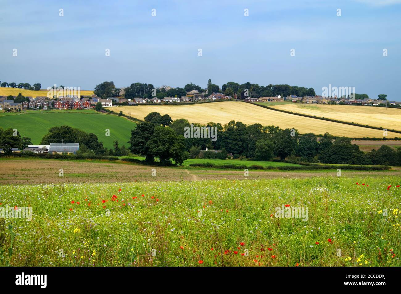 Flockton hi-res stock photography and images - Alamy