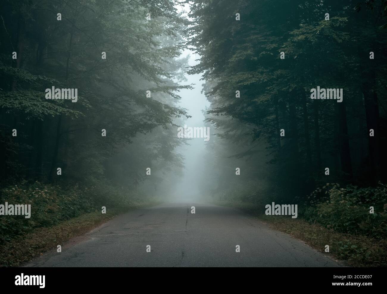 Tunnel Autumn Road High Resolution Stock Photography and Images - Alamy