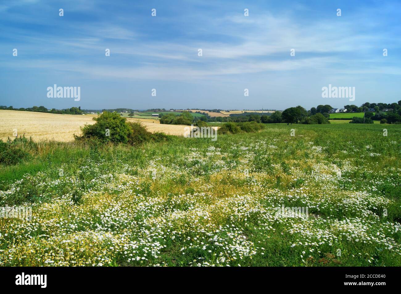 Flockton hi-res stock photography and images - Alamy
