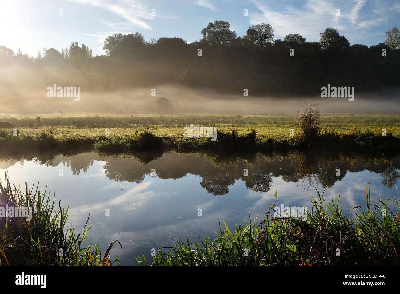 Early morning mist over the meadows on the River Wey in Godalming ...