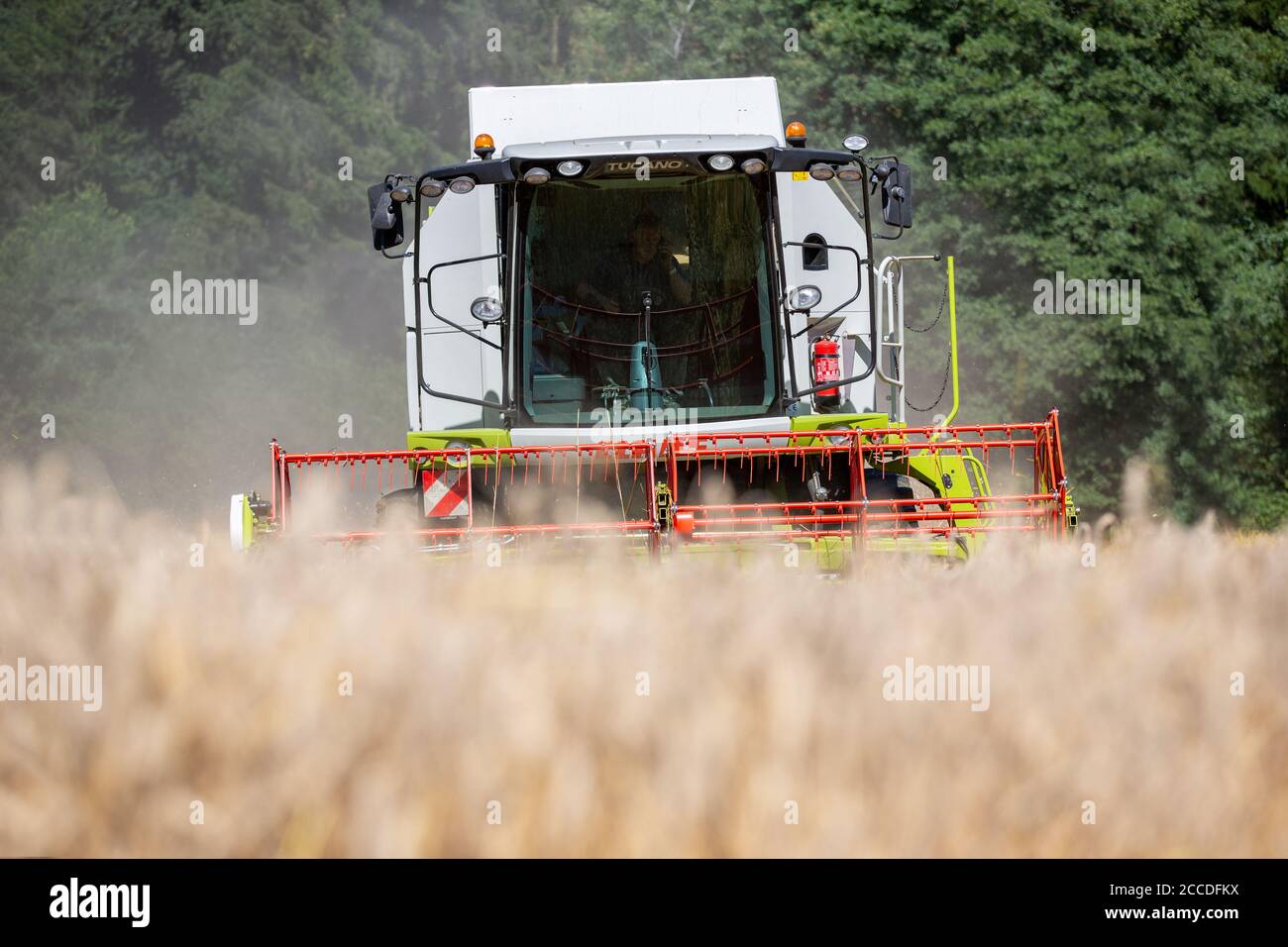 BAVARIA / GERMANY - AUGUST 20, 2020: Claas Tucano 420 combine harvester ...
