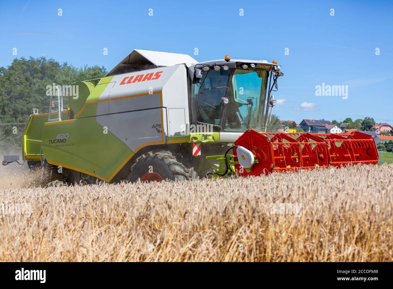 BAVARIA / GERMANY - AUGUST 20, 2020: Claas Tucano 420 combine harvester ...