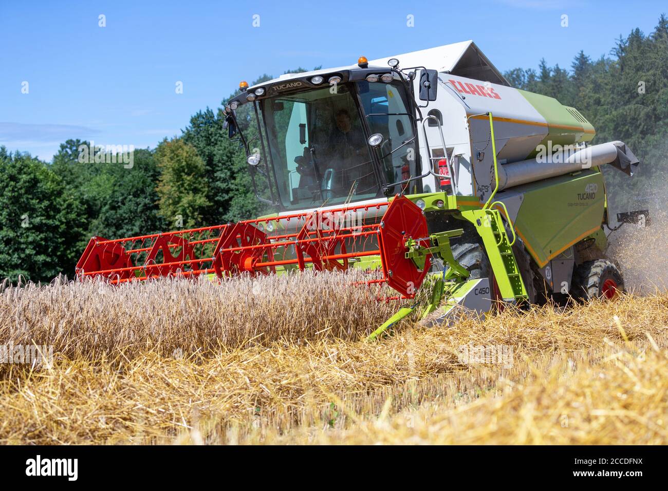 BAVARIA / GERMANY - AUGUST 20, 2020: Claas Tucano 420 combine harvester ...