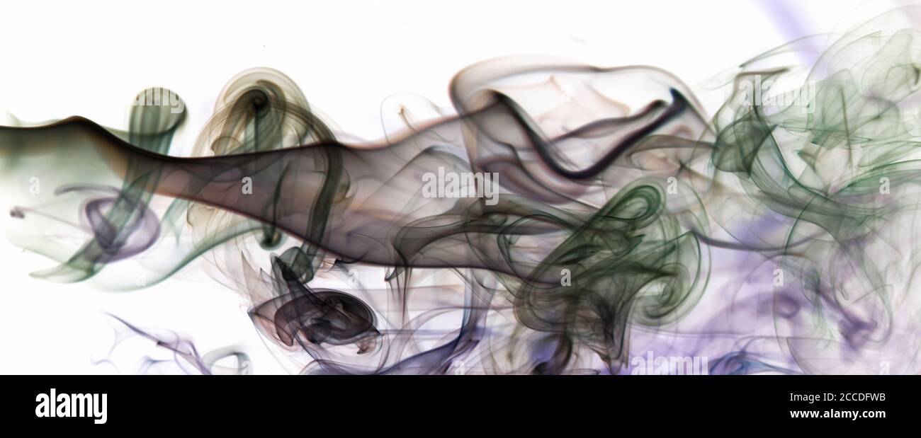 Smooth abstract smoke lines on white background. Graphic design banner ...