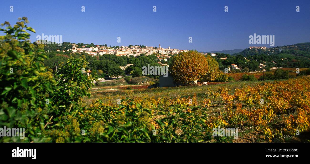 Provence vineyard in autumn Stock Photo - Alamy