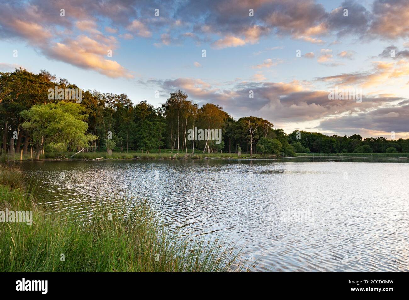 Midday park london hi-res stock photography and images - Alamy