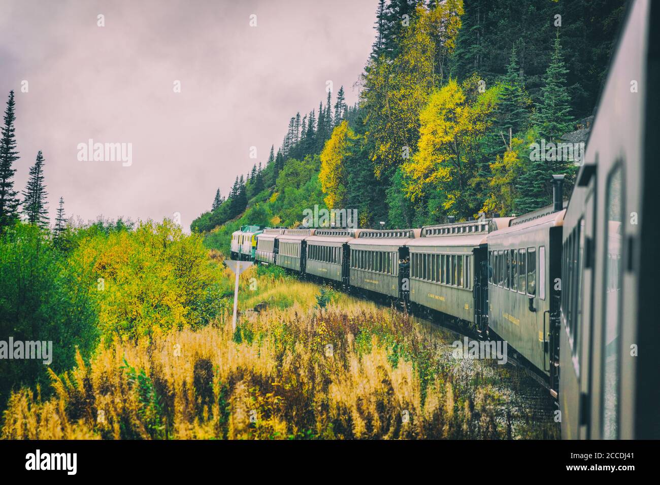 Alaskan railroad train whitehorse hi-res stock photography and images ...