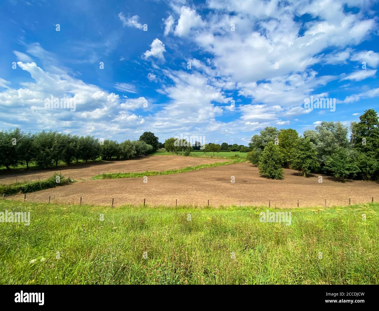 View on typical dutch rural flat landscape along river Maas with ...