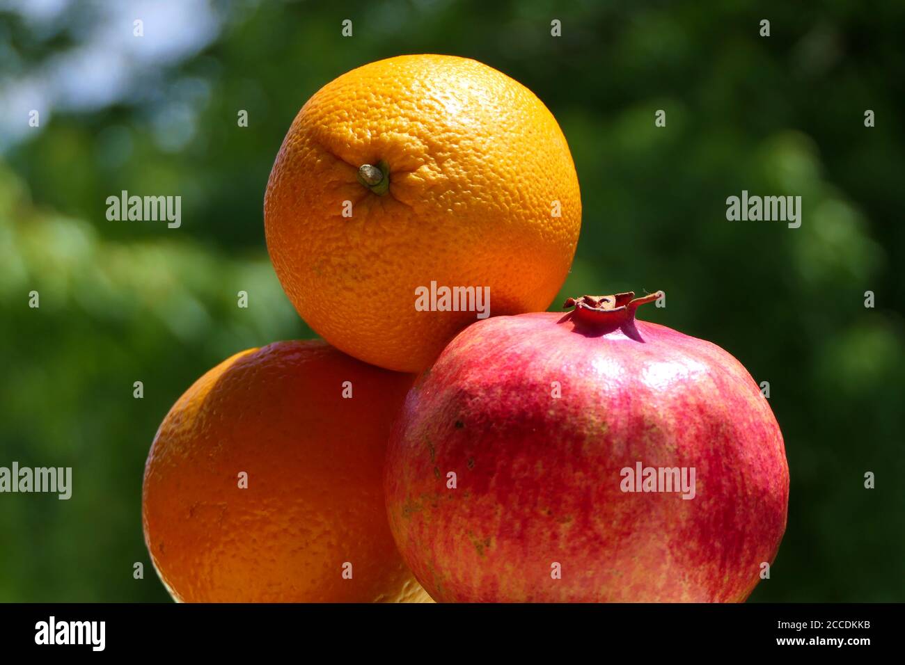 Food pyramid diet hi-res stock photography and images - Alamy