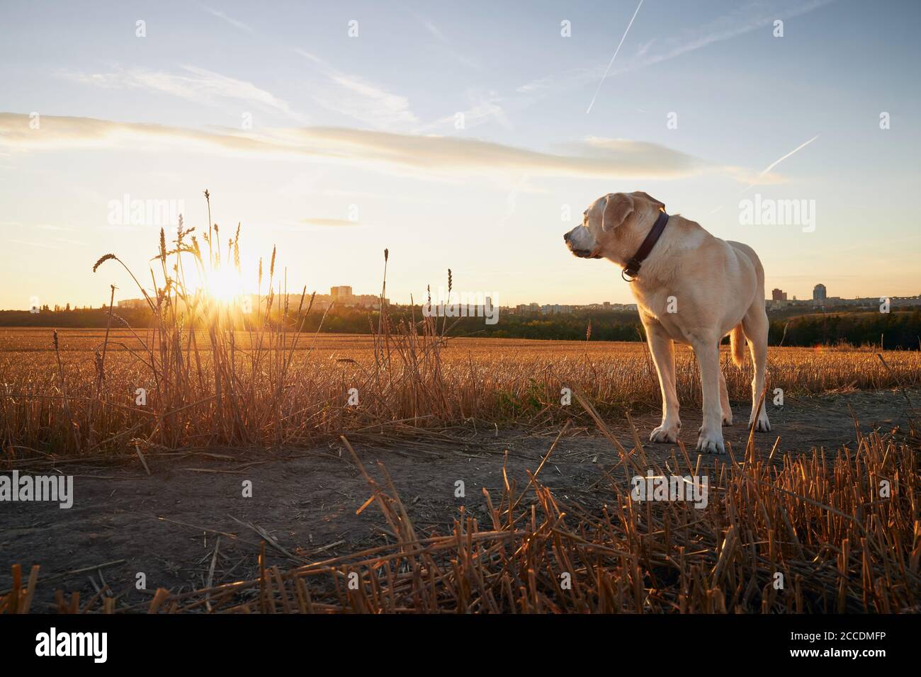 Sad scenery hi-res stock photography and images - Alamy