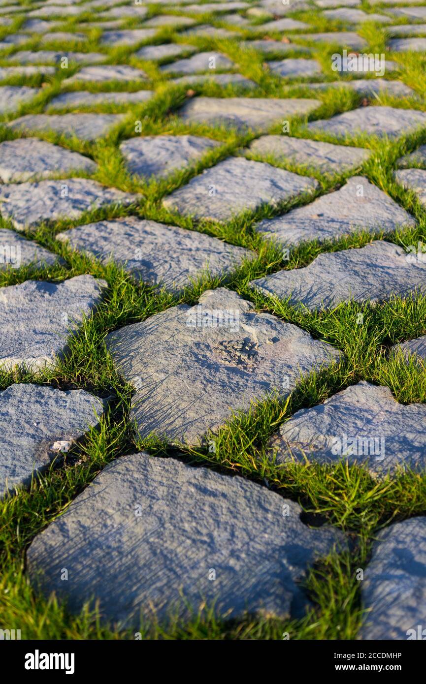 Tiles made of stones and green grass. Detail of natural paving. Pattern ...