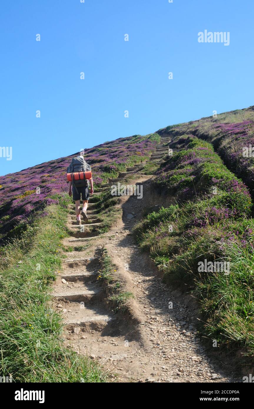 West steps hi-res stock photography and images - Alamy