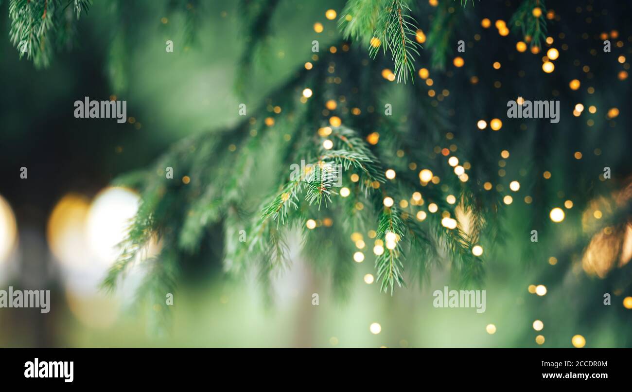 Christmas tree background Stock Photo - Alamy