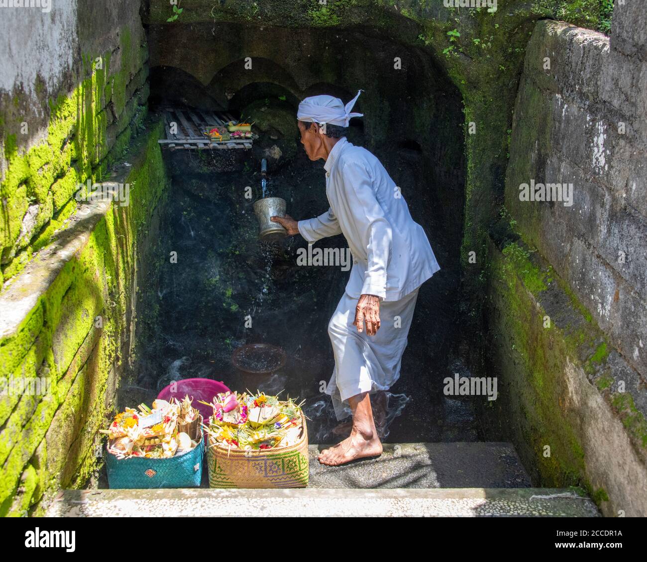 The Melukat ceremony is a purification ceremony to cleanse the body ...