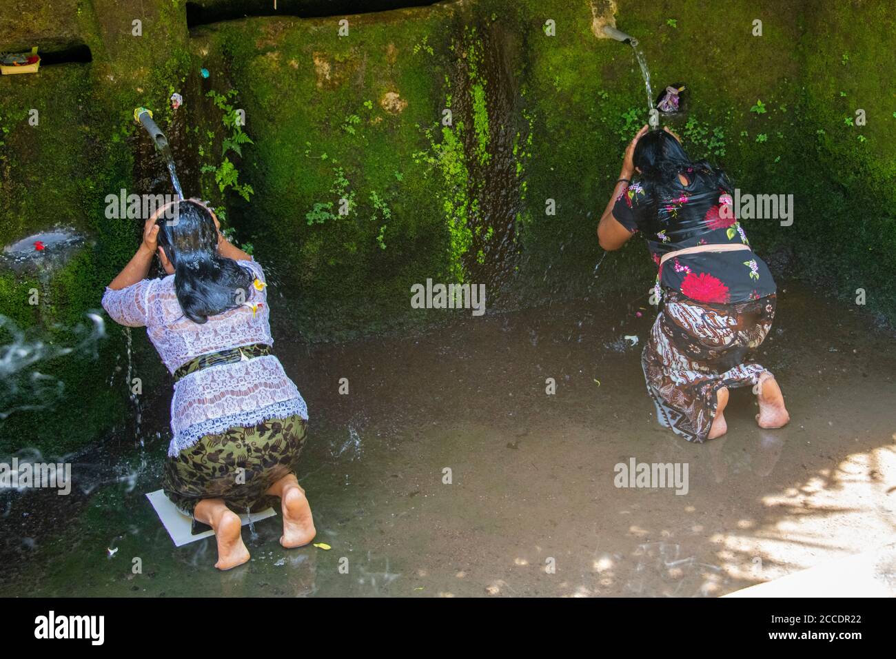 The Melukat ceremony is a purification ceremony to cleanse the body ...