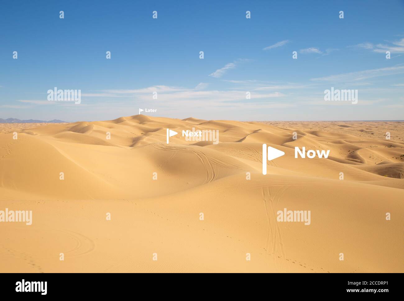 Product vision roadmap concept. Now, next, later product management ...