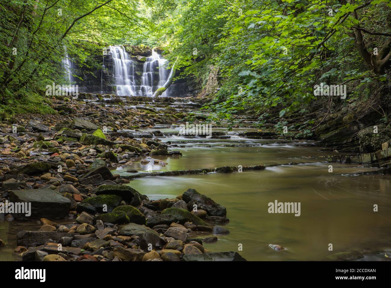 Hidden waterfall in a deep gorge with trickling white water. Forest of ...