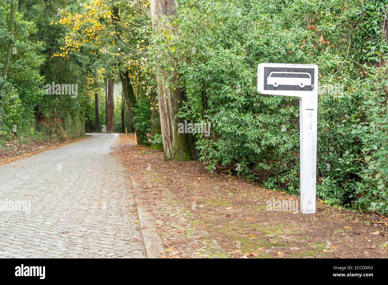 Bus stop in countryside hi-res stock photography and images - Alamy