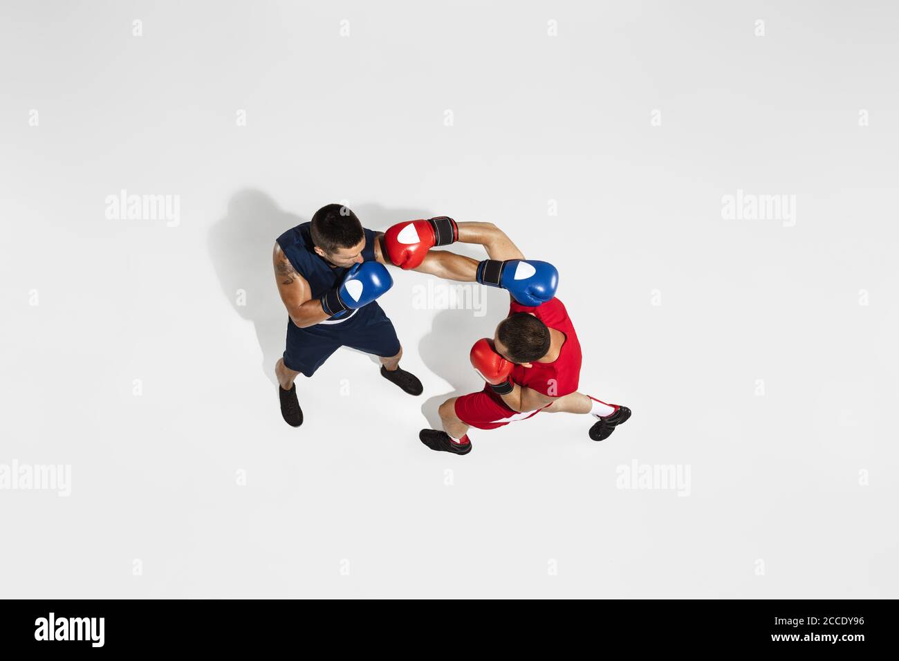 Two professional boxers boxing isolated on white studio background ...
