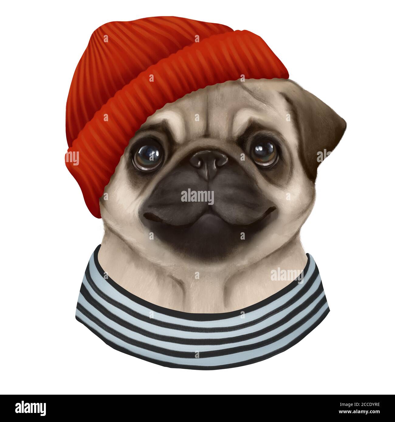 Pug in hat hi-res stock photography and images - Alamy