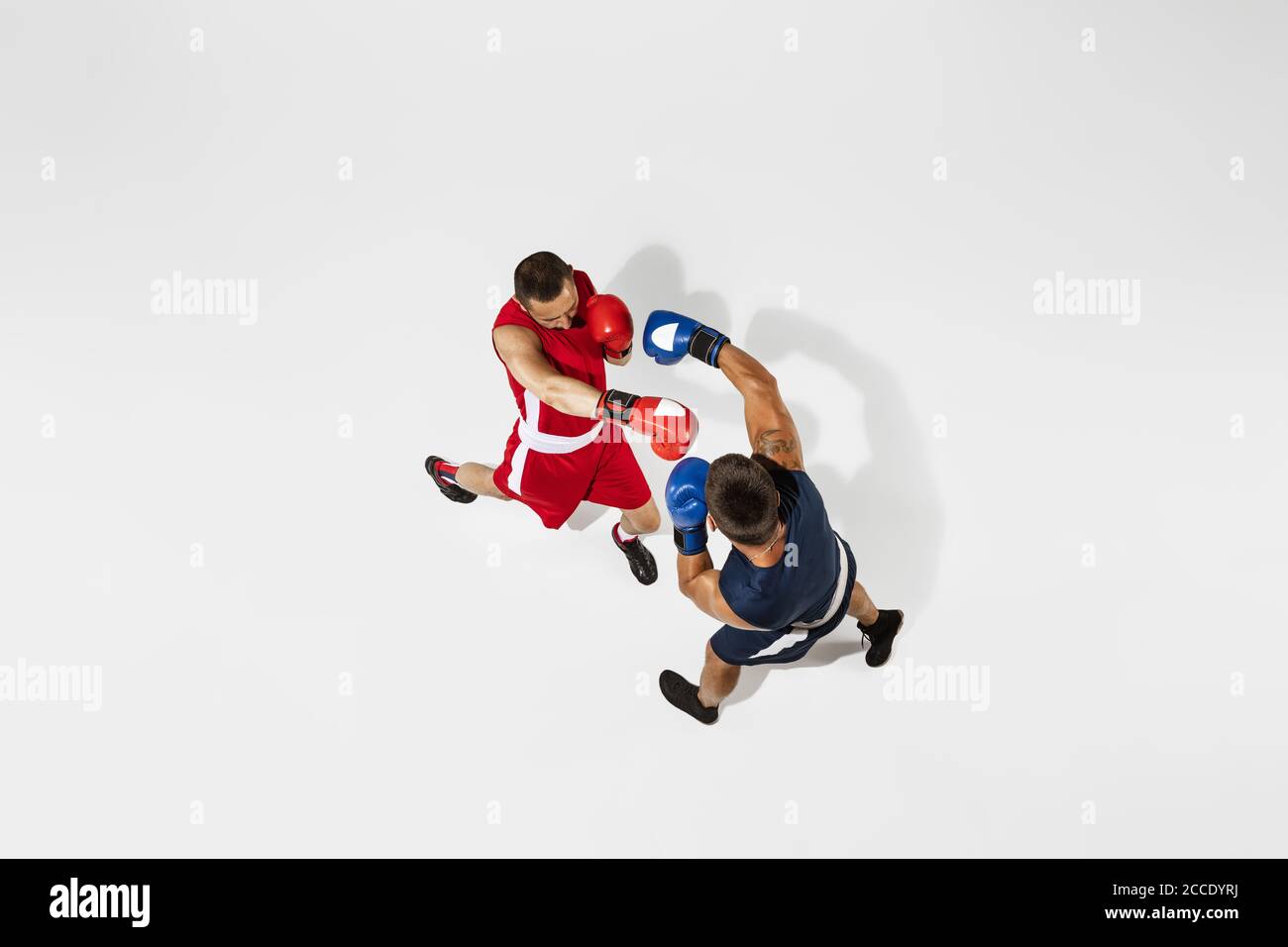 Two professional boxers boxing isolated on white studio background ...