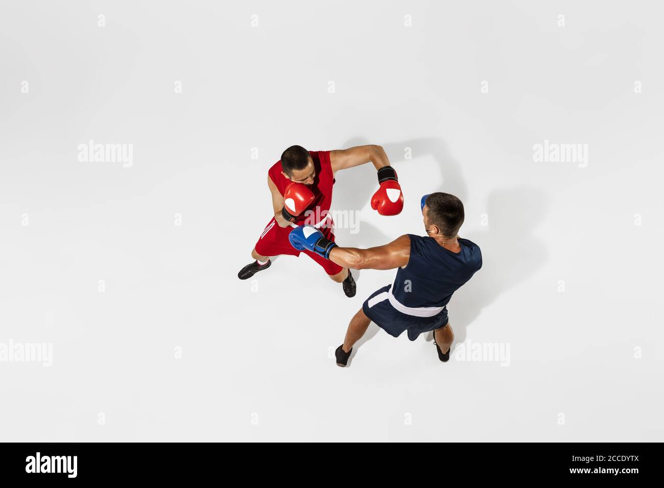 Two professional boxers boxing isolated on white studio background ...
