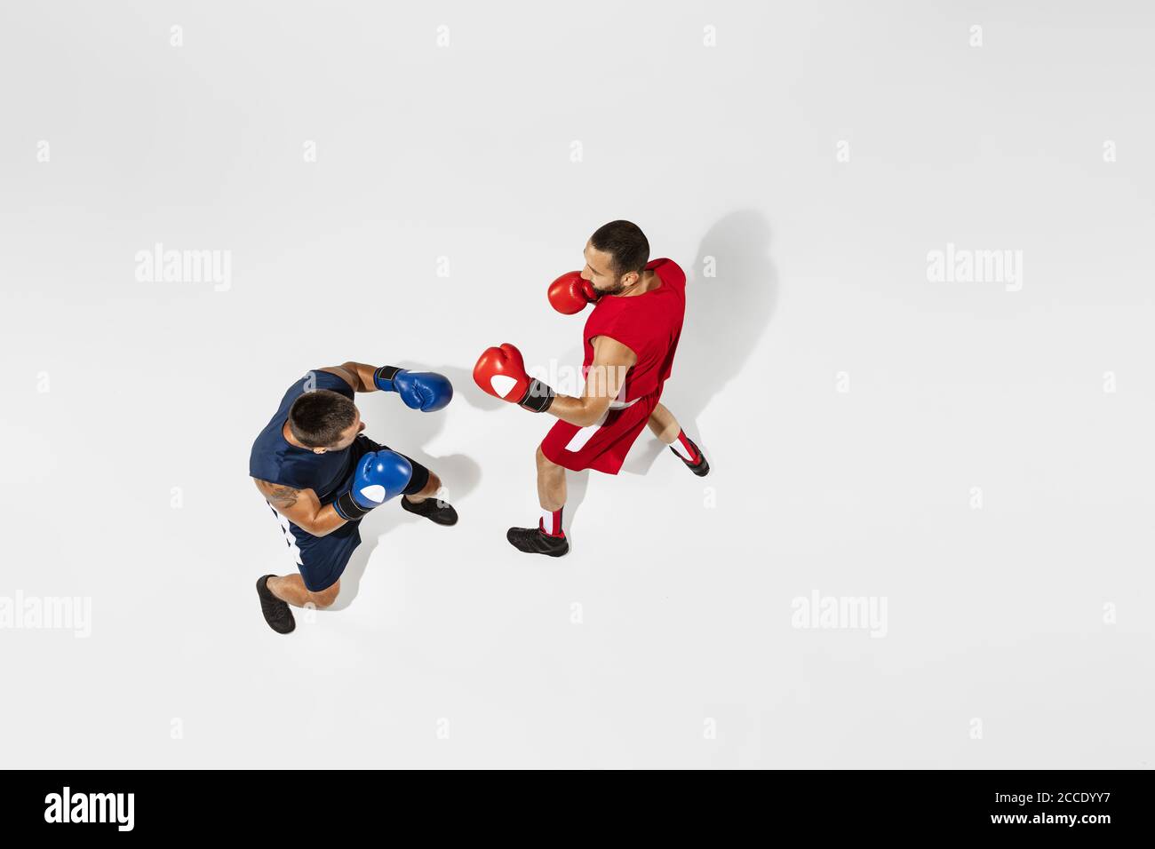 Two professional boxers boxing isolated on white studio background ...