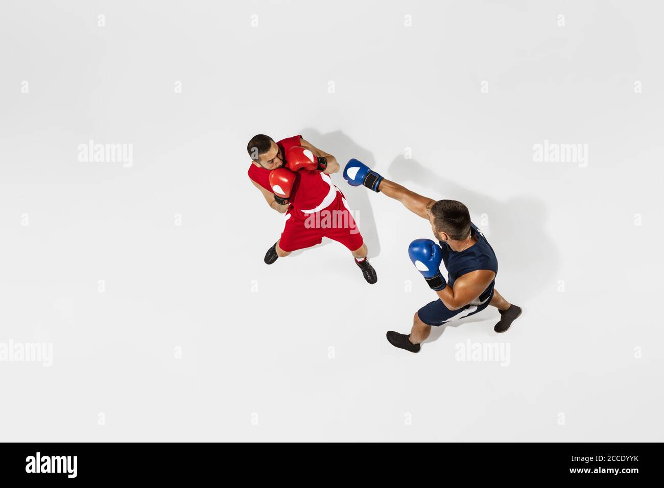 Two professional boxers boxing isolated on white studio background ...
