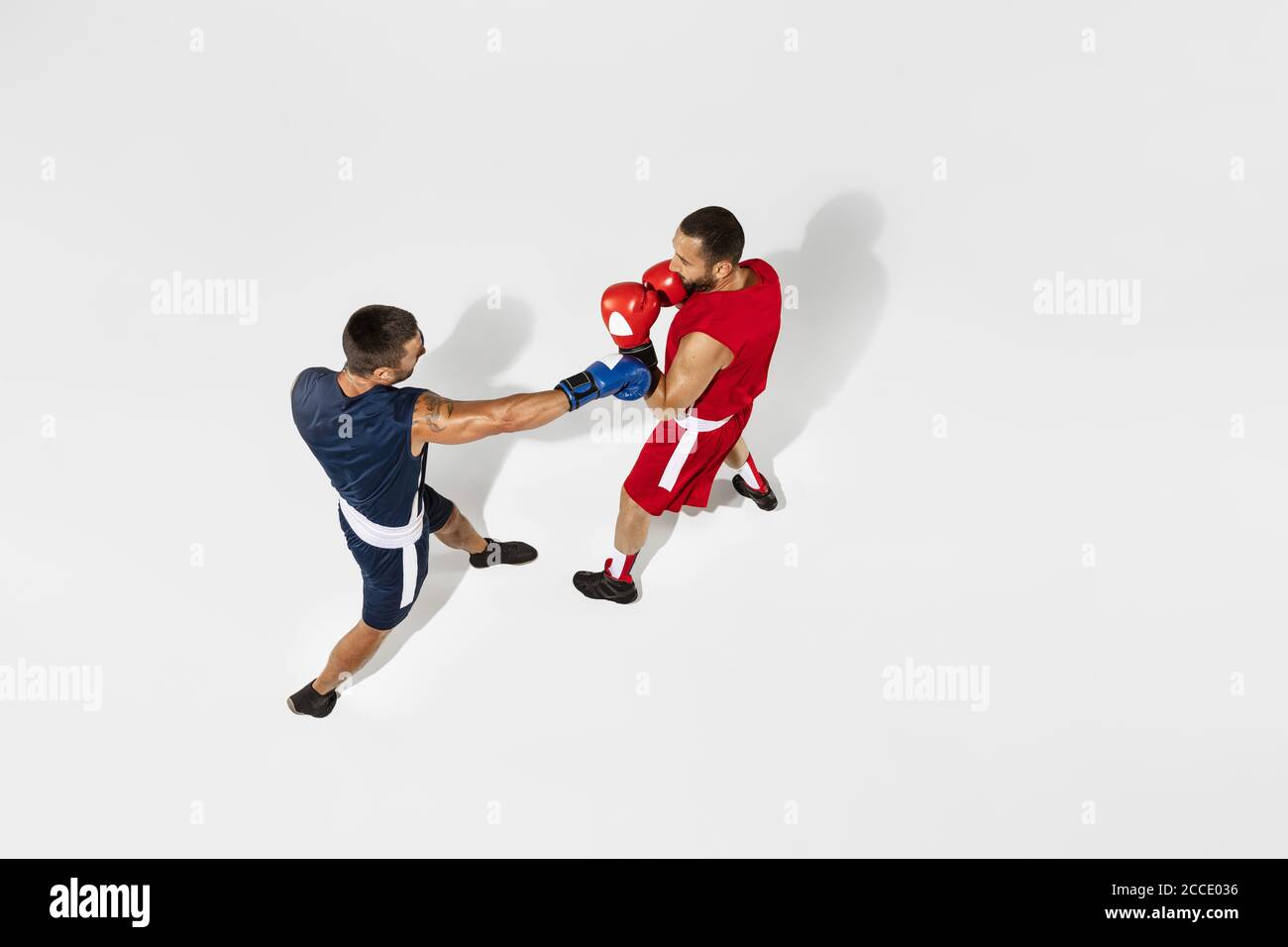 Two professional boxers boxing isolated on white studio background ...