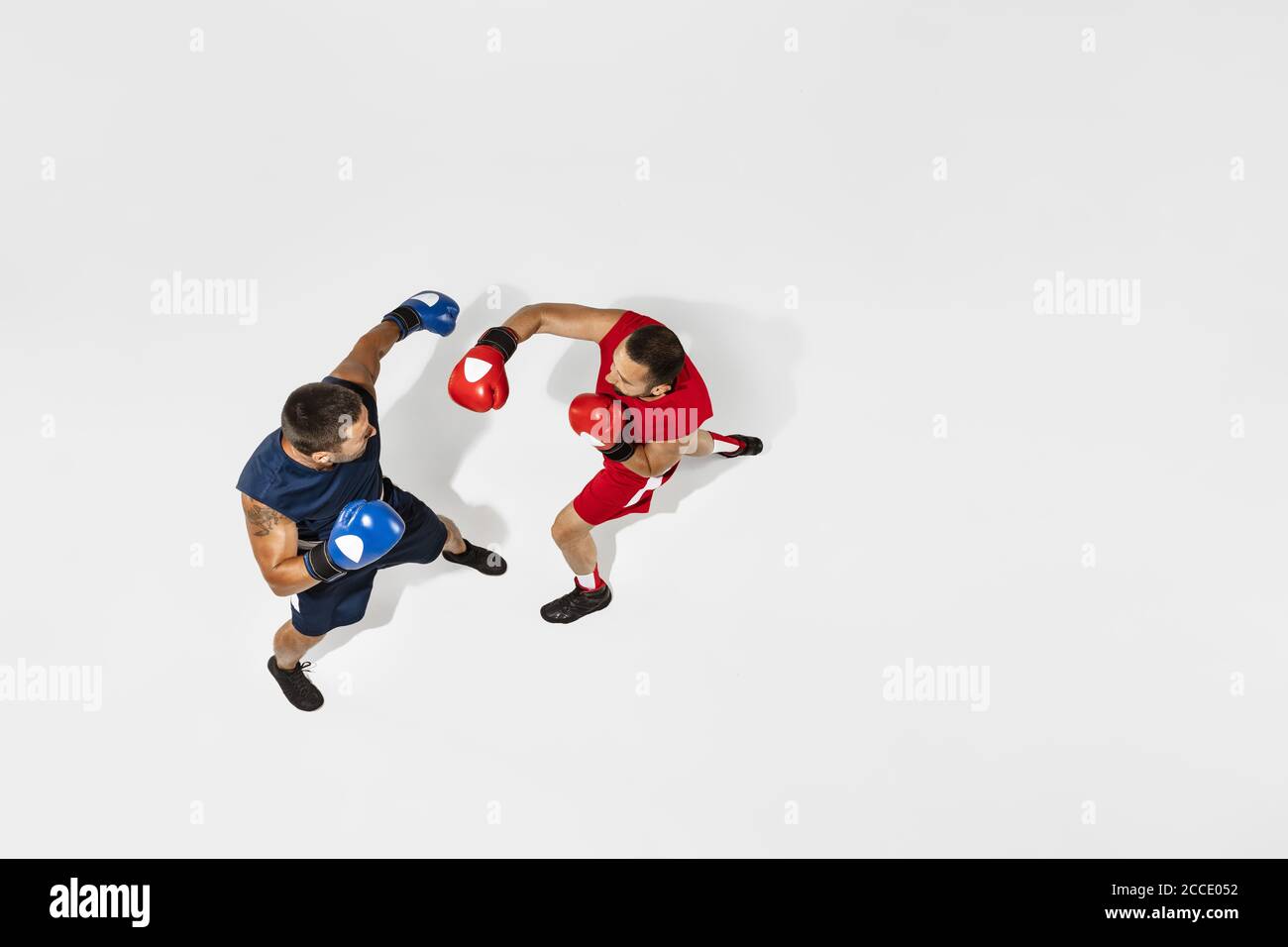 Two professional boxers boxing isolated on white studio background ...
