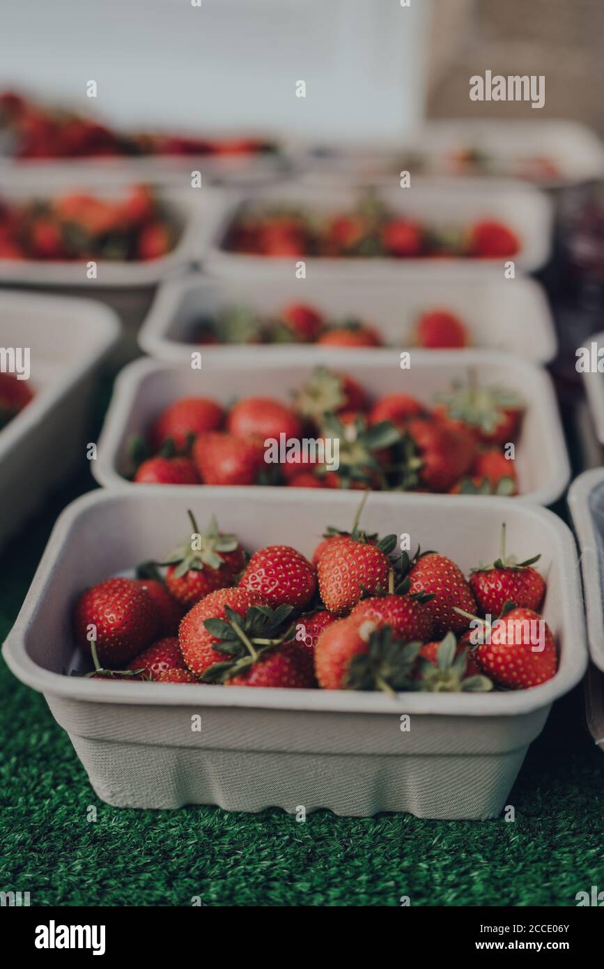 Carton punnets of fresh strawberries on display on a local market stall ...